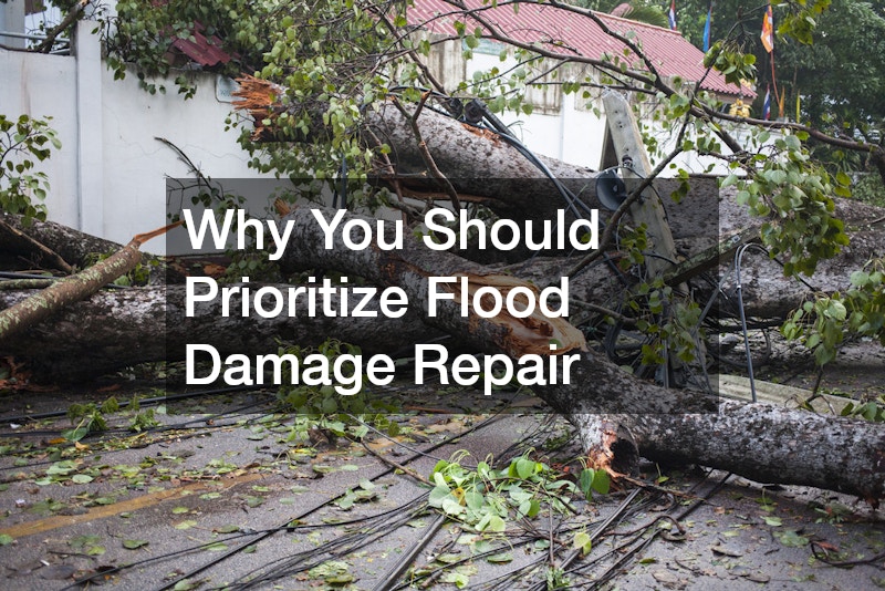Why You Should Prioritize Flood Damage Repair - Global World of Business